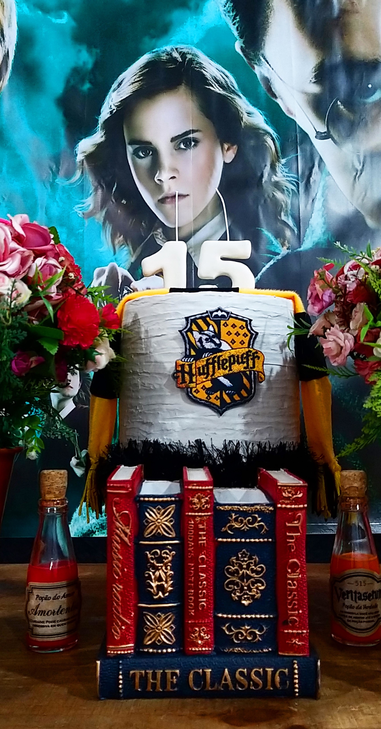 -Decoração-para-festa-de-aniversário-infantil-15-anos-tema-Harry-Potter ...